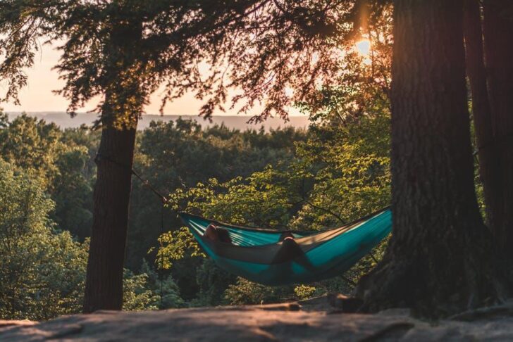 What Are the Different Types of Hammocks and Which One is Right for You?