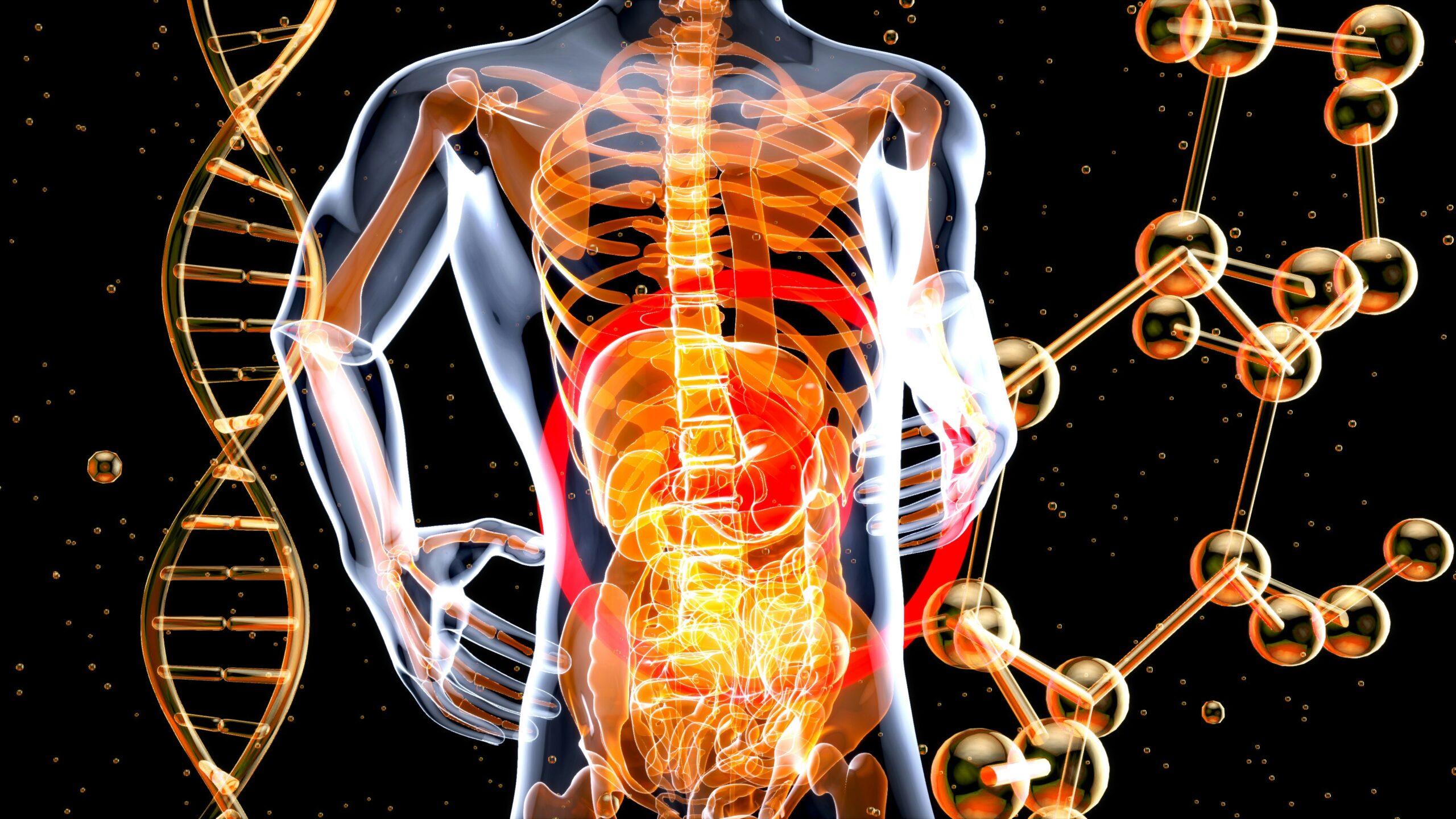 Digestive Health Check: When Screening Becomes Important